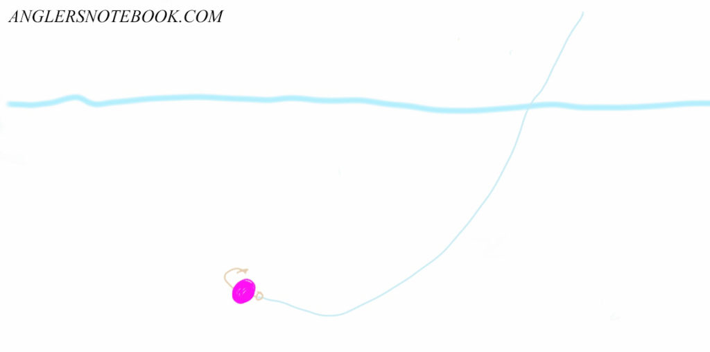 How and when to use a freeline for fishing - Anglers Notebook