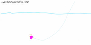 How and when to use a freeline for fishing - Anglers Notebook