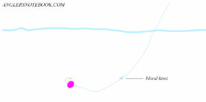 How and when to use a freeline for fishing - Anglers Notebook
