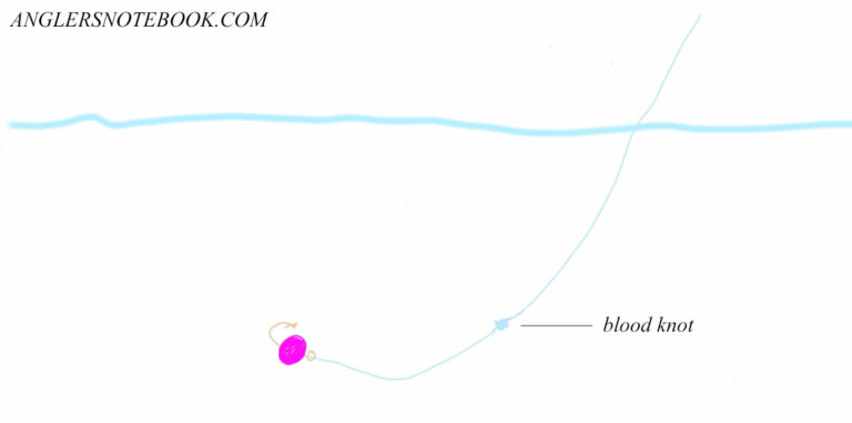 How and when to use a freeline for fishing - Anglers Notebook