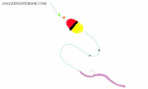 The five best fishing rigs - Anglers Notebook